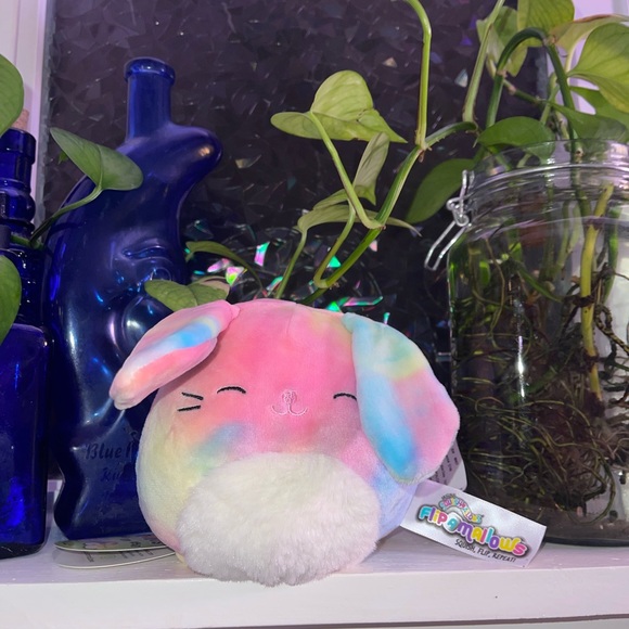 Squishmallows | Toys | Squishmallow Flipamallow Candy Aimee 5 Kellytoy ...